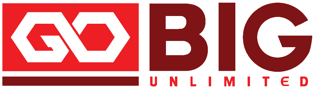 Elderlee, INC - GoBig Unlimited